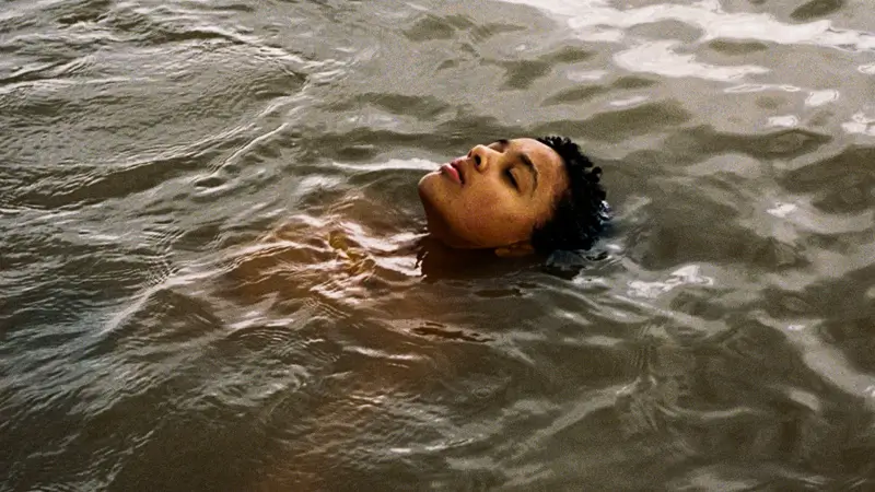 ‘Bird’ film review - Filmelier